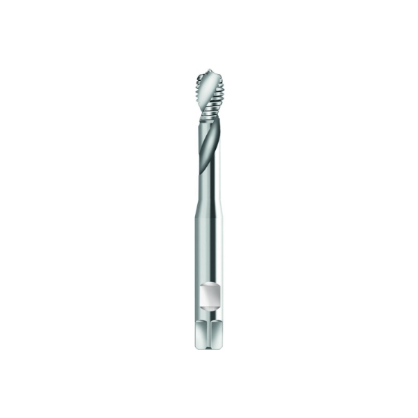 M6 x 1.0 HSSE Spiral Flute Synchrospeed WLM Walter Tap - For ...